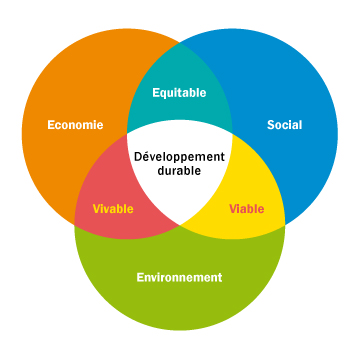 Comprendre le développement durable | Le D-plumé